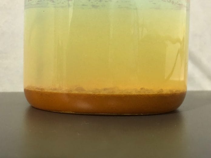 Small Amount of DEF in Diesel Tank (How to Get It Out) | Auto Exhaust Guide